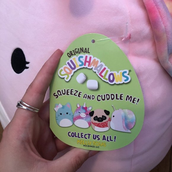 Squishmallows | Toys | Nwt 6 Silvina The Snail Squishmallow | Poshmark